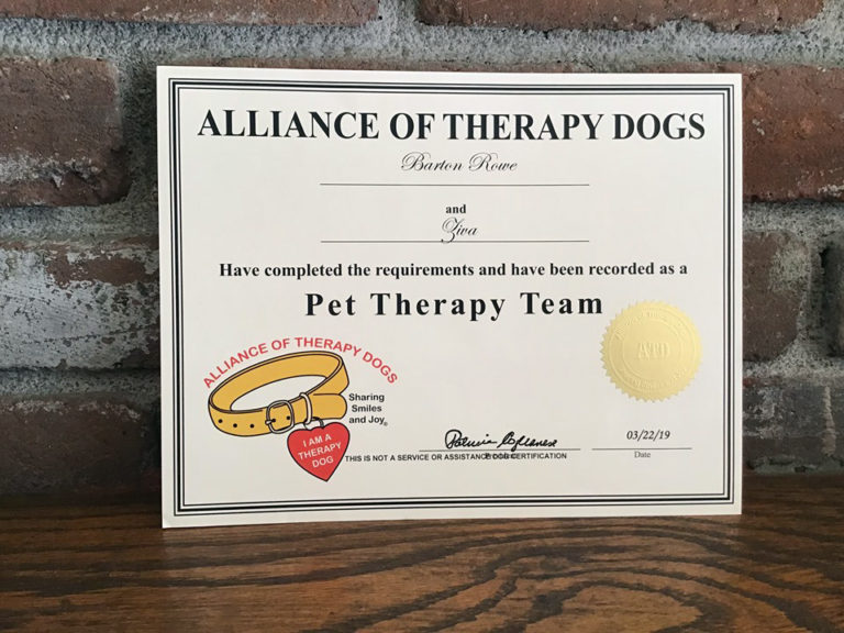 Therapy Dog – Go Go Bolshoi borzoi kennel
